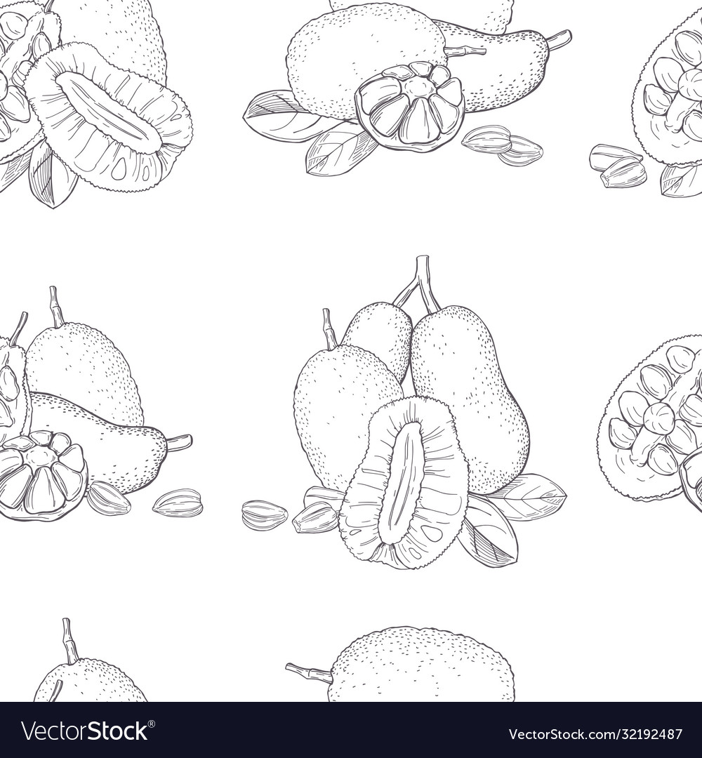 Hand drawn breadfruit jackfruit seamless pattern Vector Image