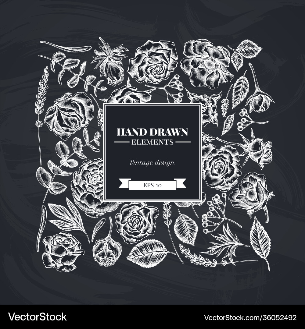 Square floral design with chalk roses anemone Vector Image