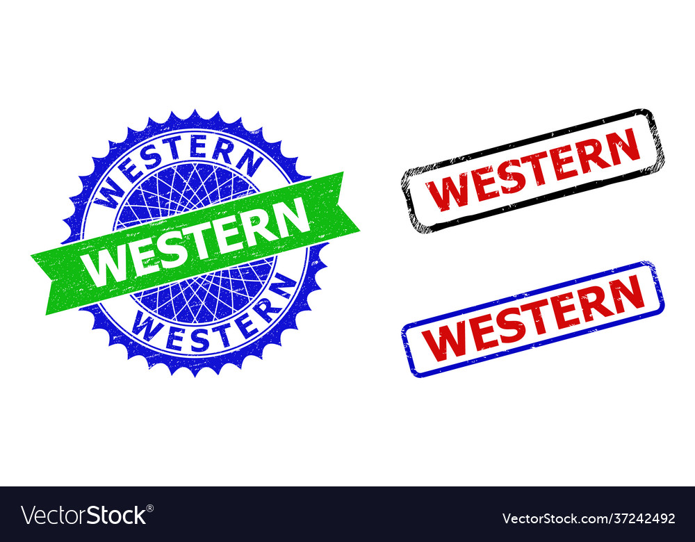 Western rosette and rectangle bicolor stamp seals Vector Image