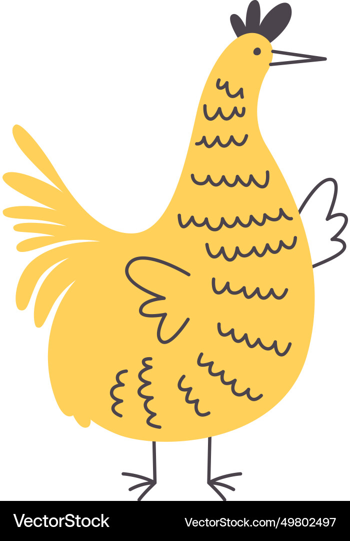 Chicken funny bird Royalty Free Vector Image - VectorStock