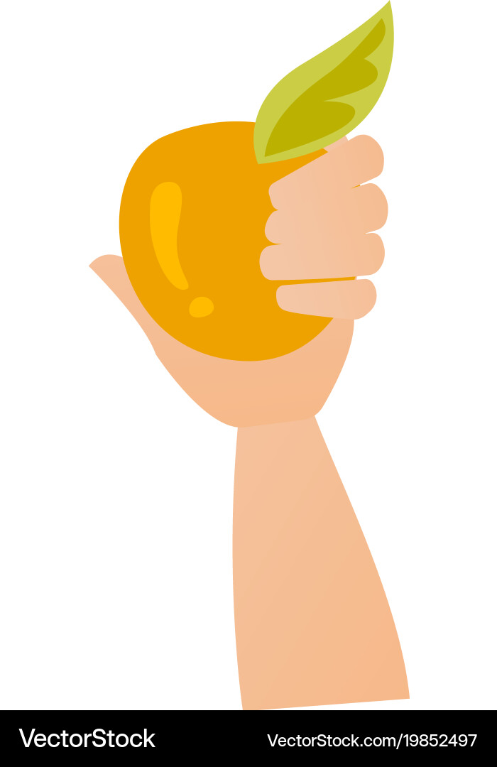 Hand holding an apple cartoon Royalty Free Vector Image