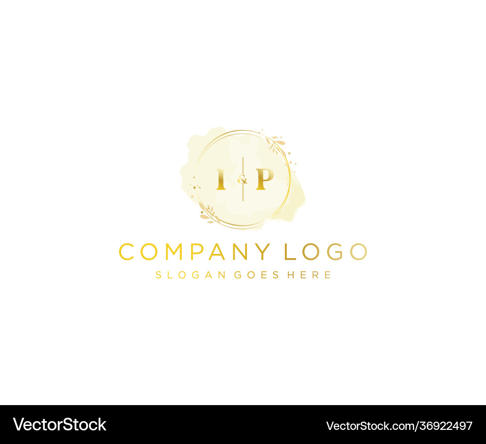 Initial ip letters colorful watercolor splash Vector Image