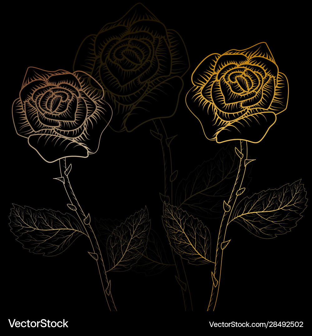 Golden rose for decorative design luxury Vector Image