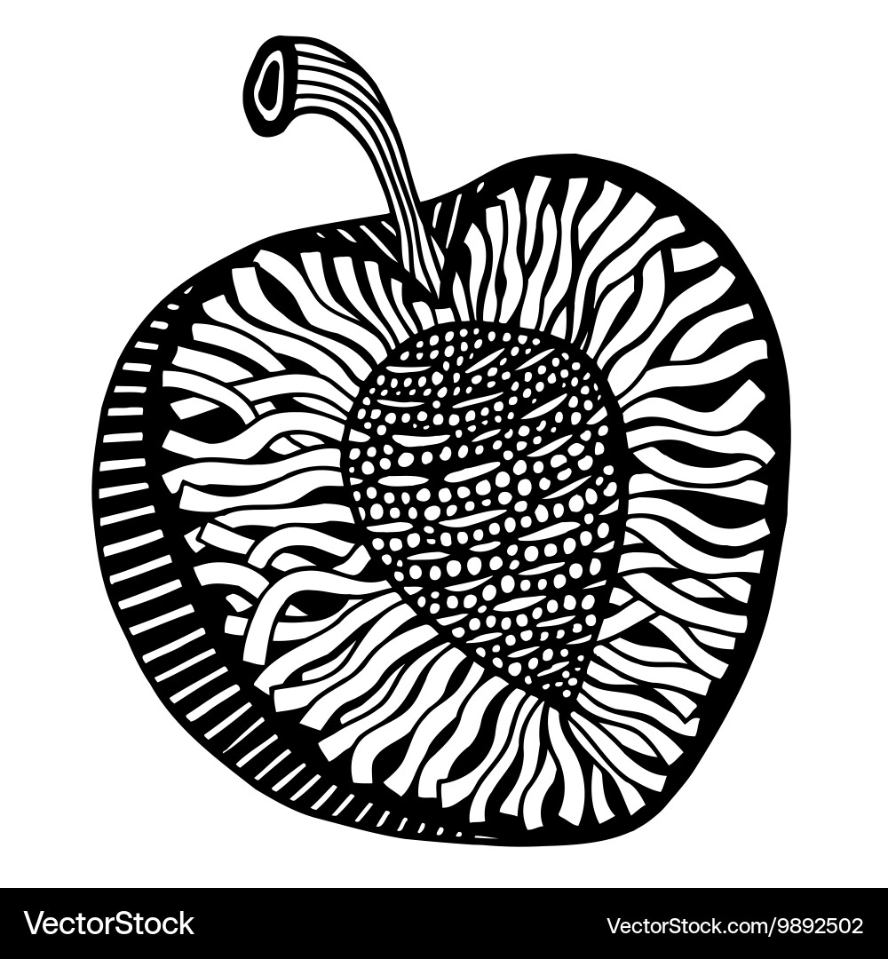 Hand drawn peach Royalty Free Vector Image - VectorStock