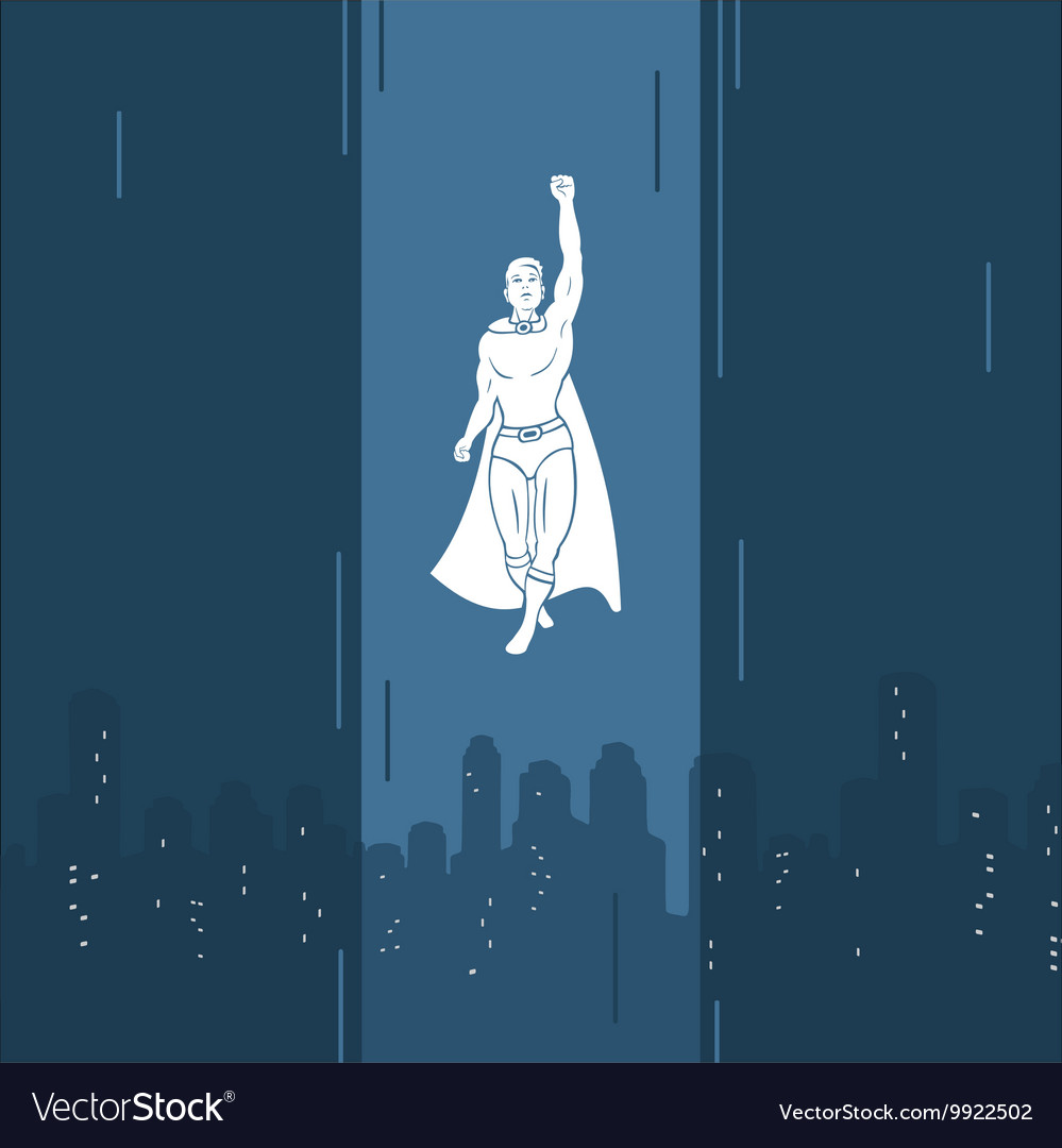 Hero Fly Royalty Free Vector Image - VectorStock