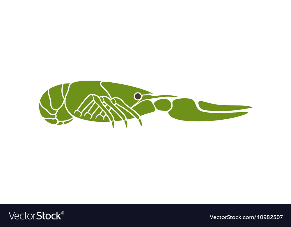 Crayfish Royalty Free Vector Image - VectorStock