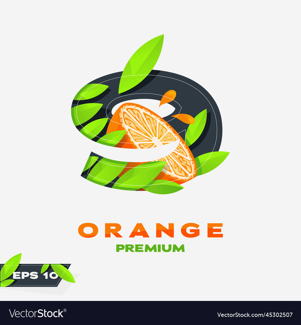 Numeric 9 orange fruit edition Royalty Free Vector Image
