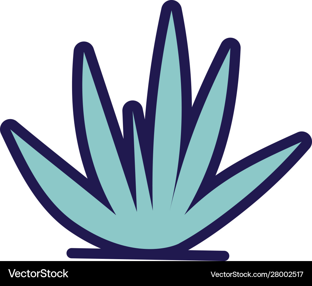 Bush plant nature isolated icon Royalty Free Vector Image