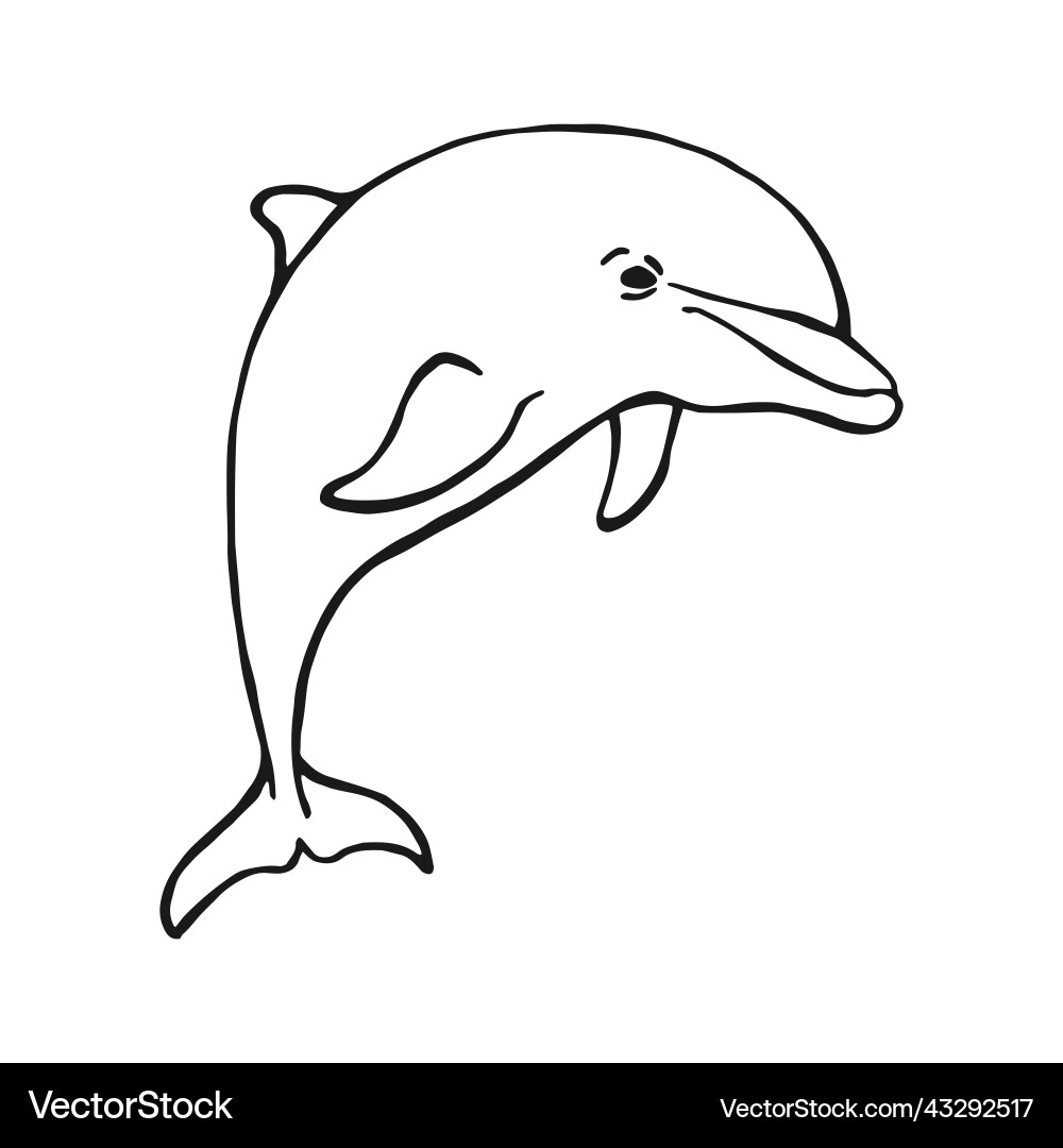Hand drawn dolphin in sketch style Royalty Free Vector Image