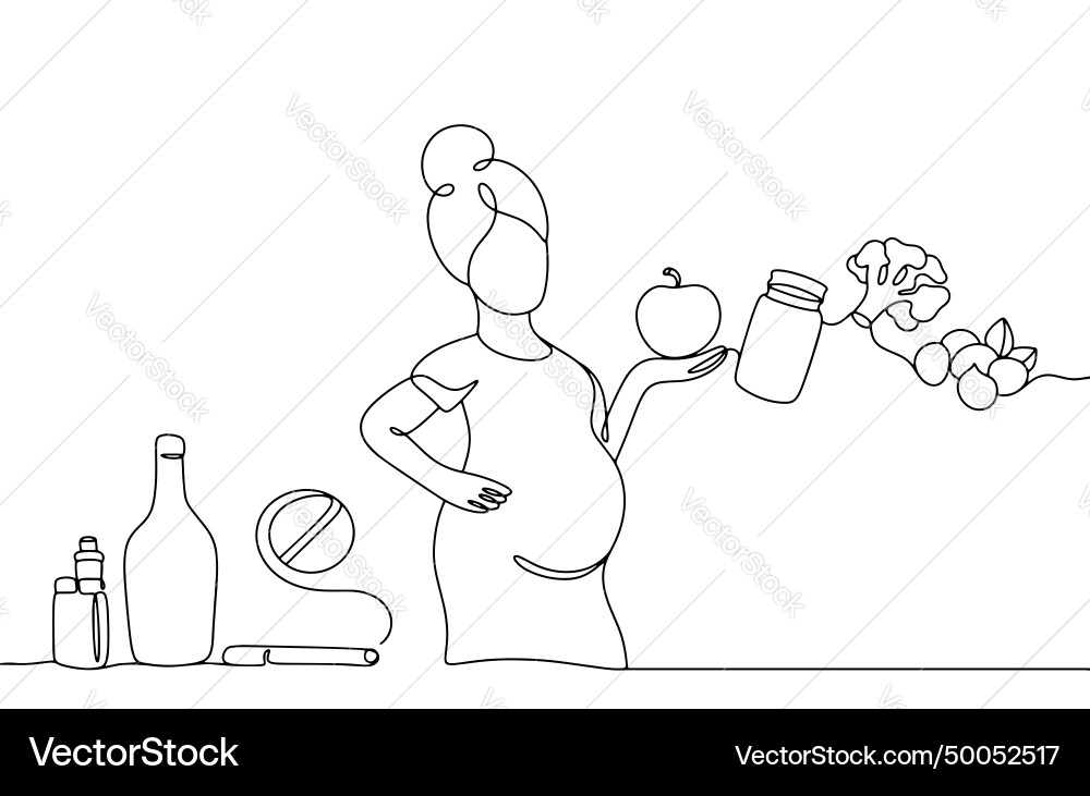 Pregnancy health developmental defect lifestyle Vector Image