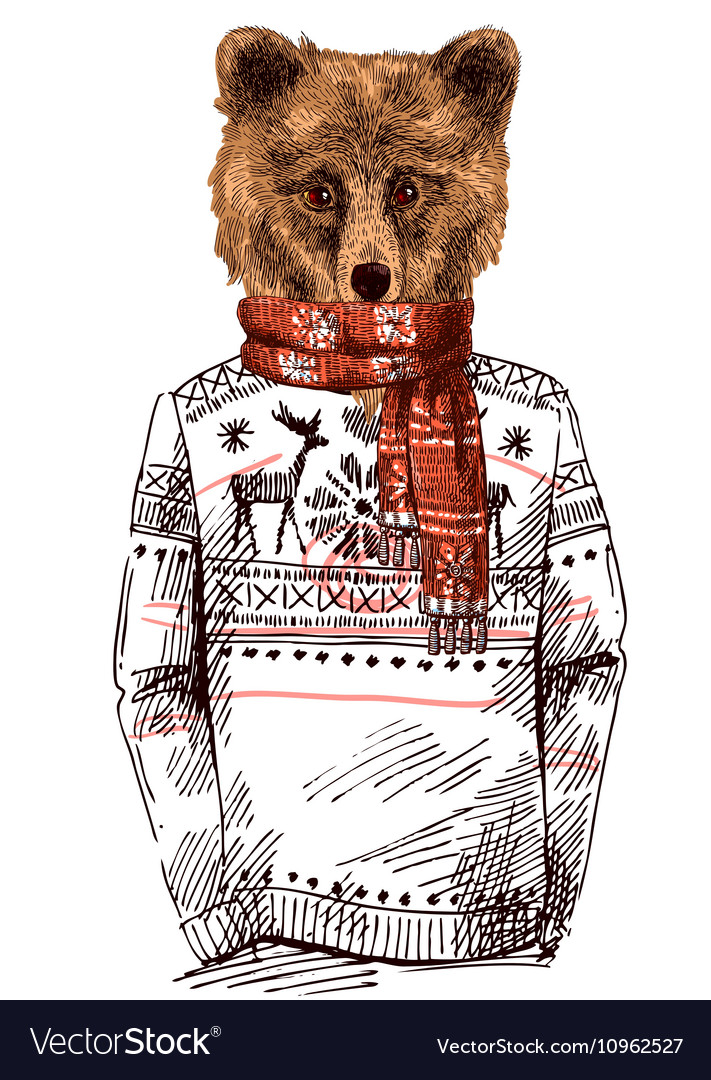 Bear dressed in knitted sweater Royalty Free Vector Image