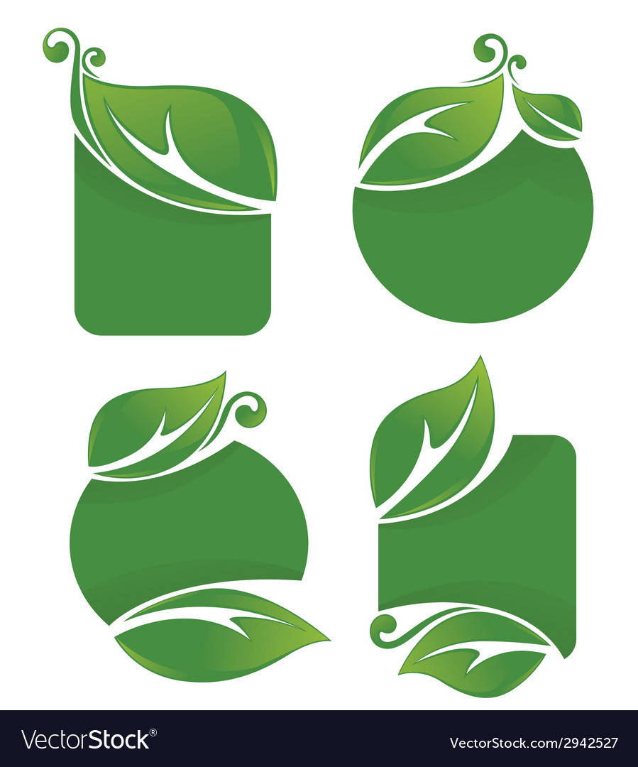 Leaf frames Royalty Free Vector Image - VectorStock