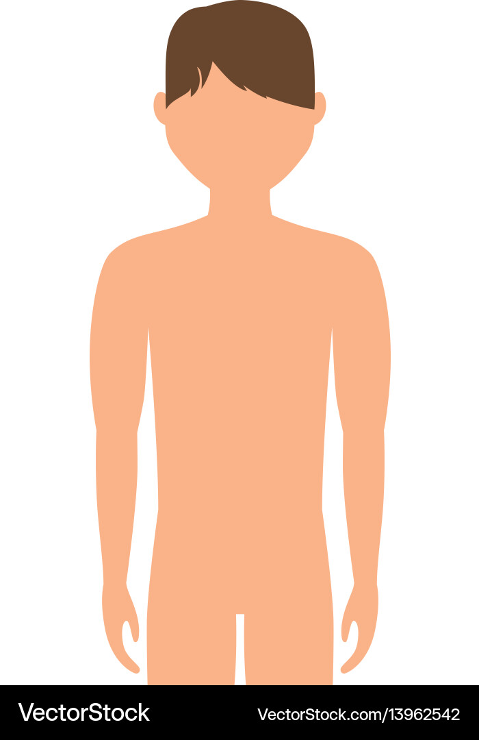 Body of man icon Royalty Free Vector Image - VectorStock