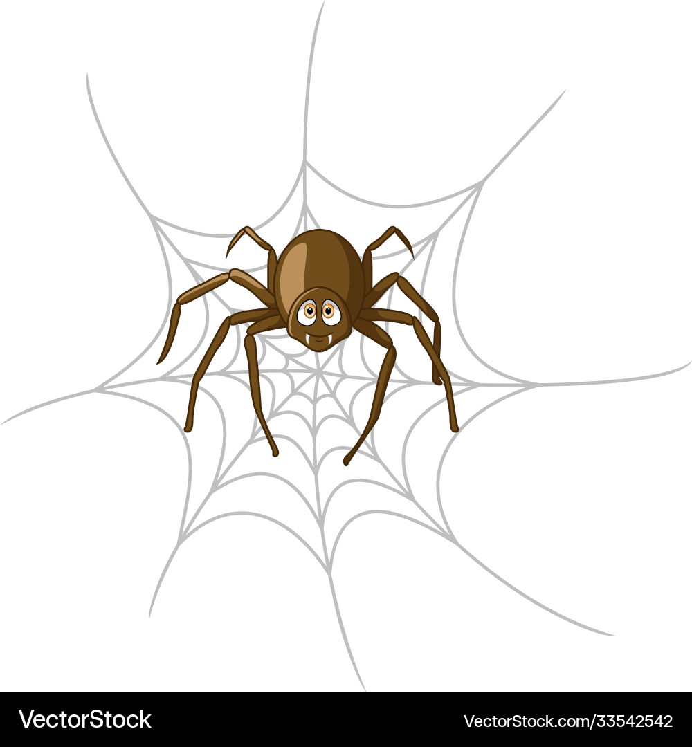 Cartoon spider in cobweb isolated on white Vector Image