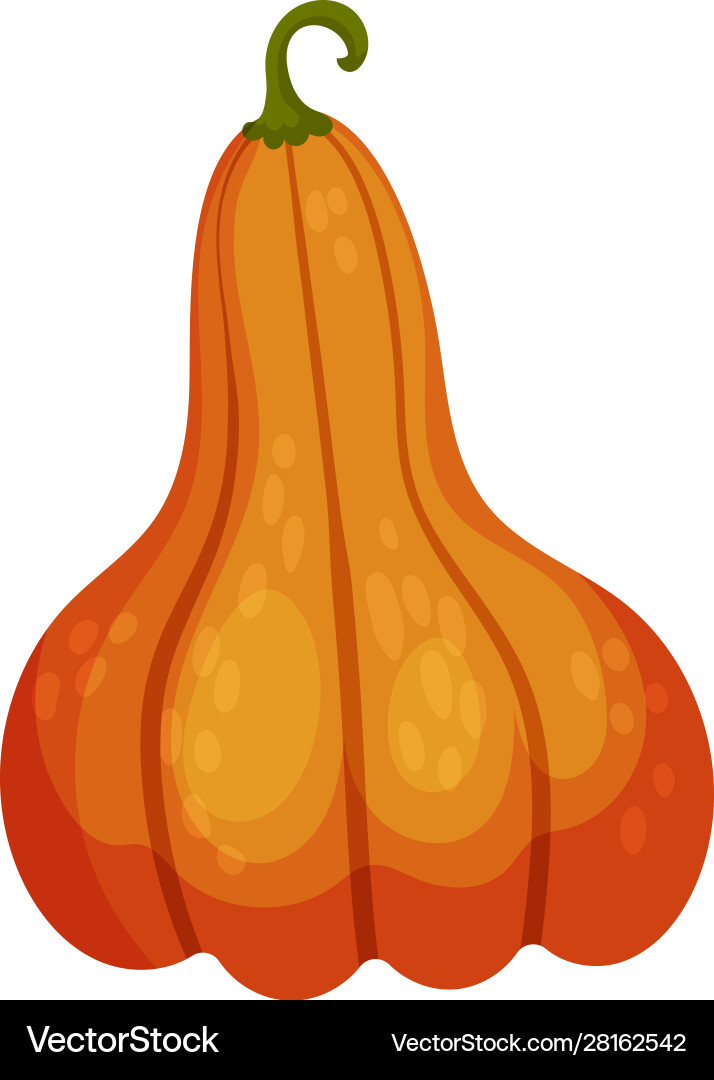 Pumpkin as thanksgiving feast symbol Royalty Free Vector