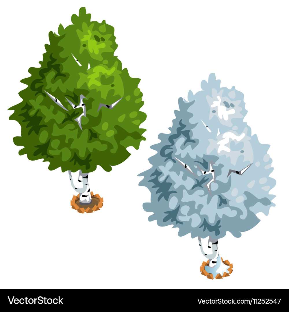 Green and white birch trees on background Vector Image