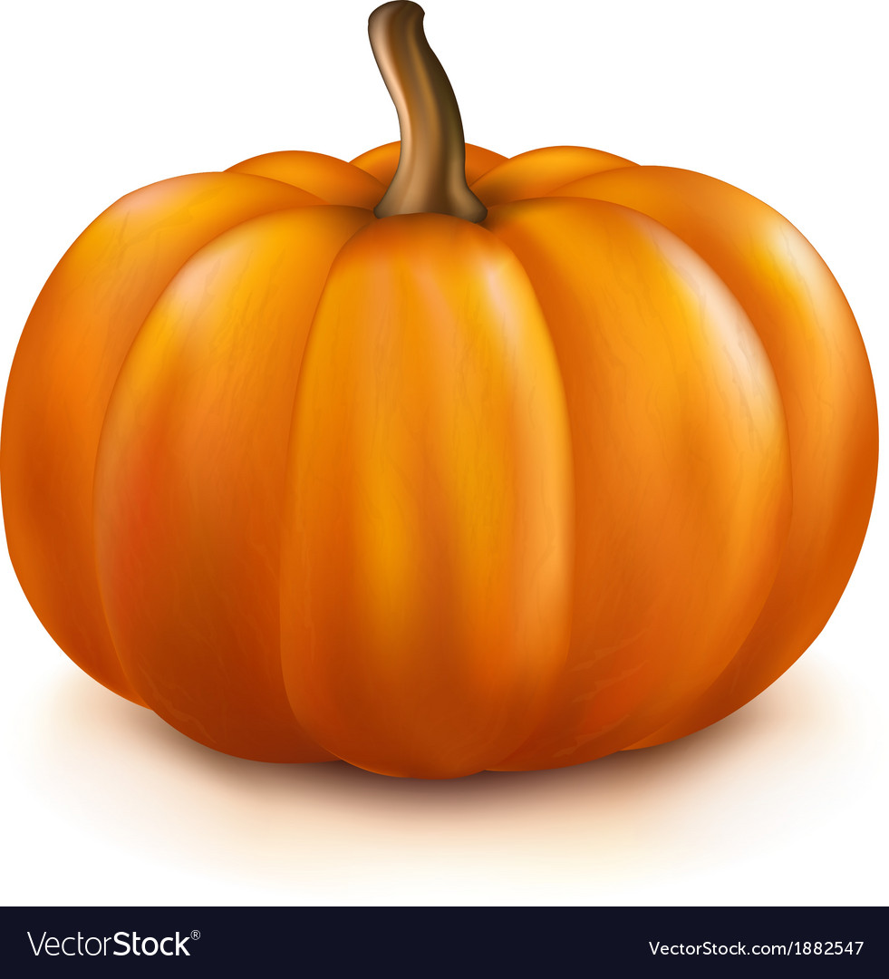 Pumpkin Royalty Free Vector Image - VectorStock