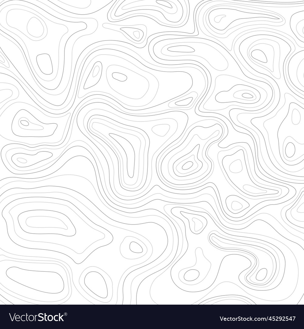 Terrain map background Royalty Free Vector Image