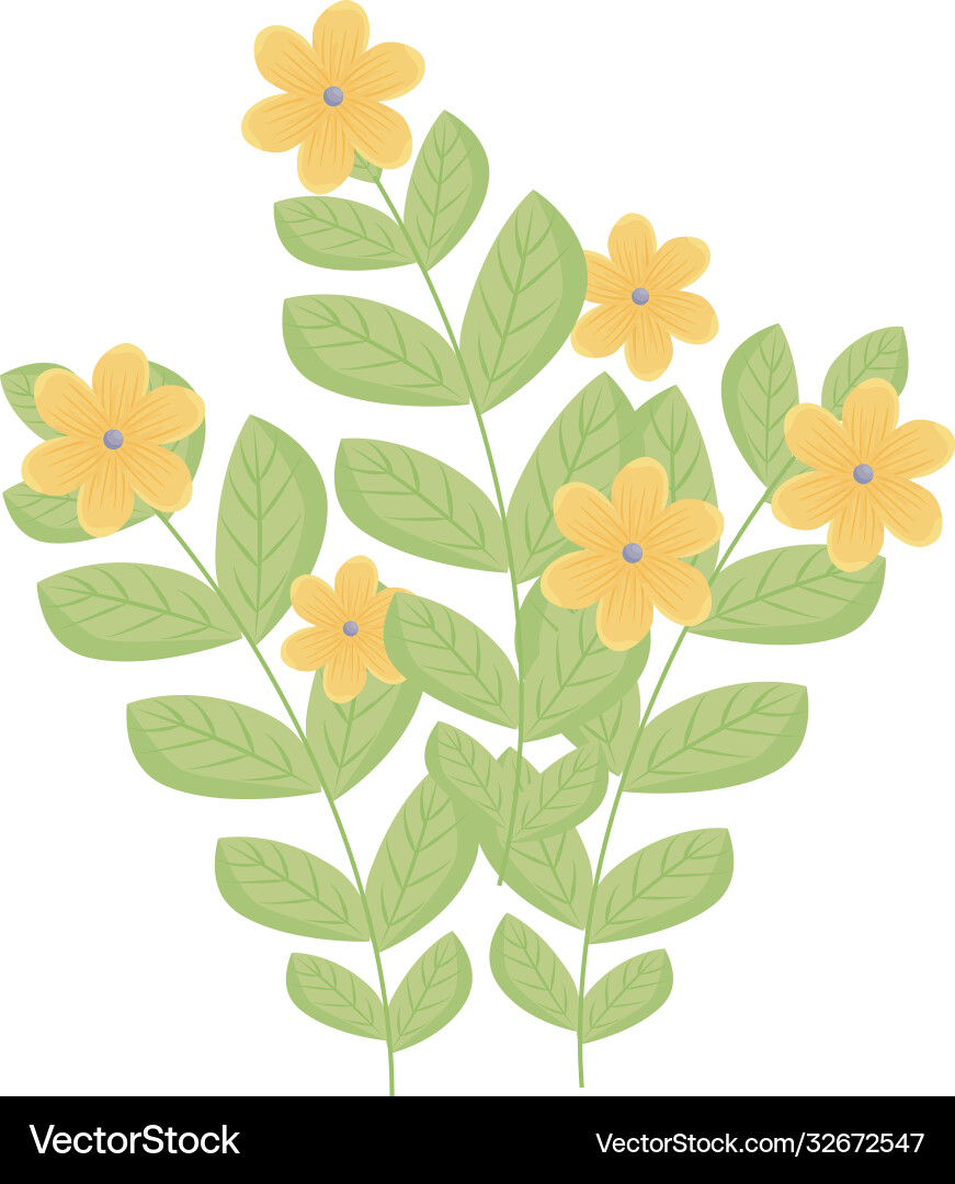 Yellow flowers with leaves design Royalty Free Vector Image