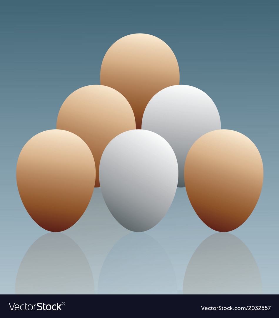 Eggs Royalty Free Vector Image - VectorStock