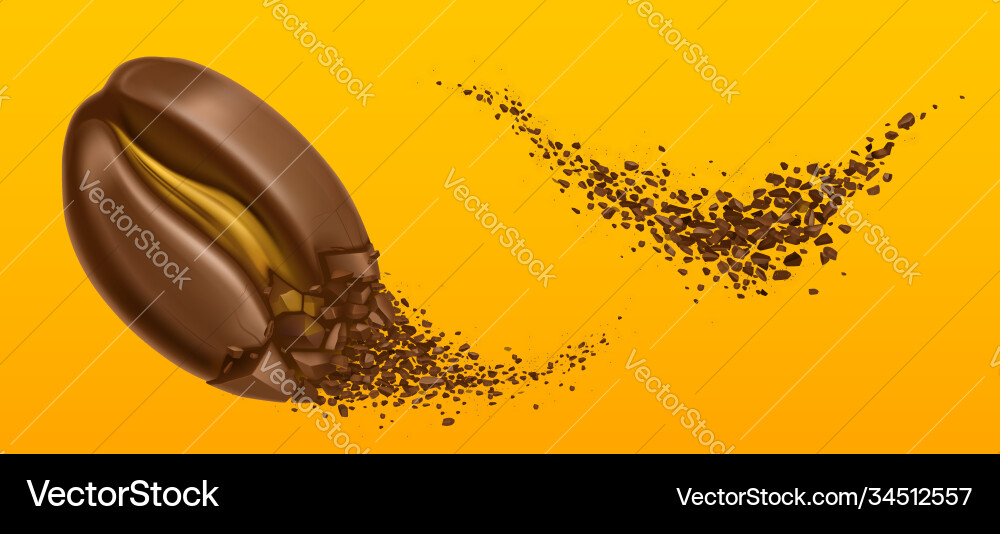 Explosion coffee bean and ground arabica grains Vector Image