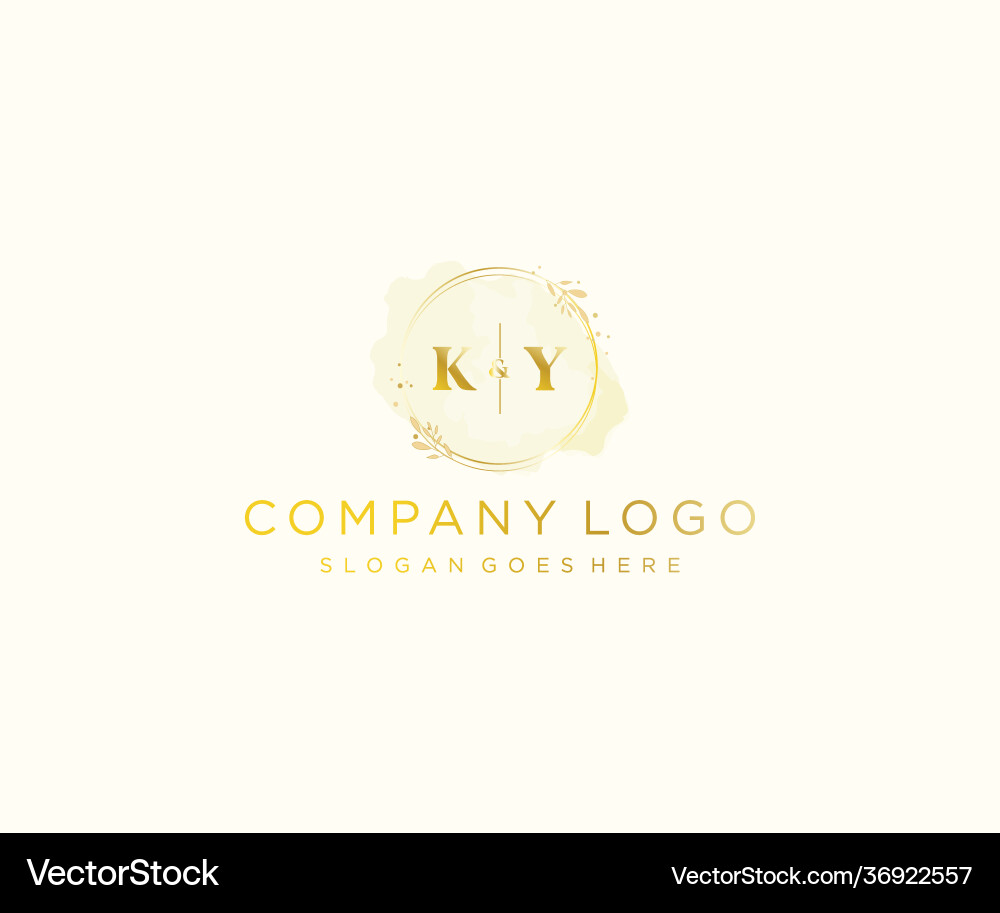 Initial ky letters colorful watercolor splash Vector Image