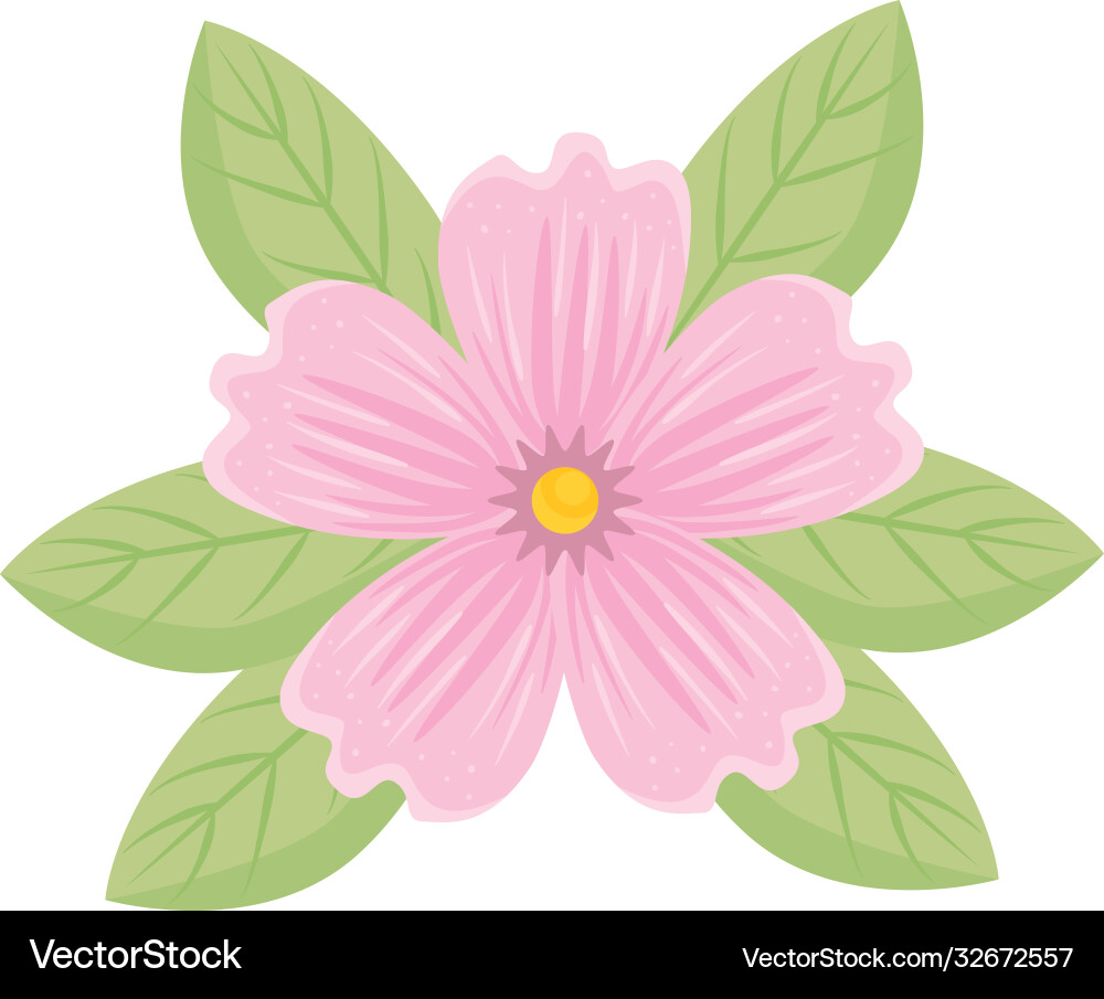 Pink flower with leaves design Royalty Free Vector Image