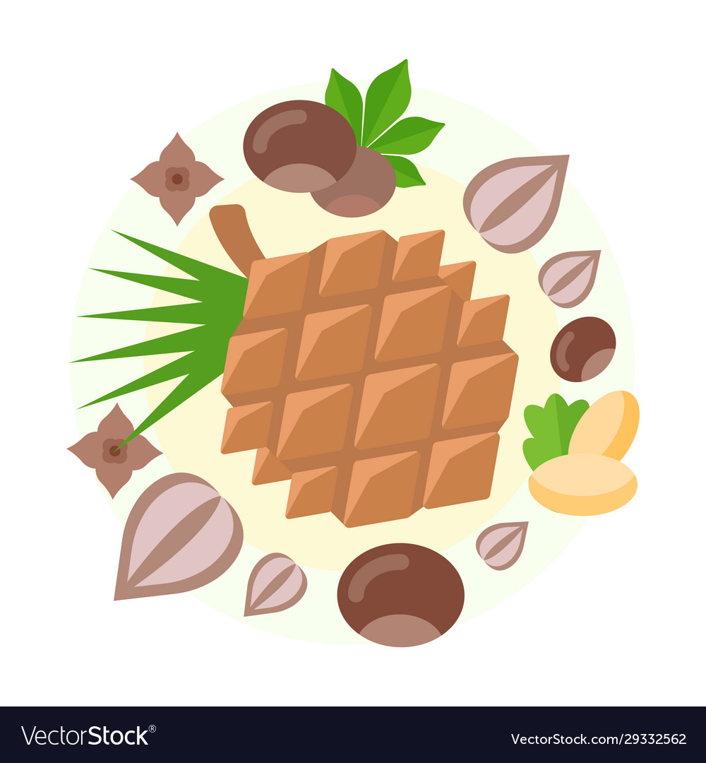 Nuts Royalty Free Vector Image - VectorStock