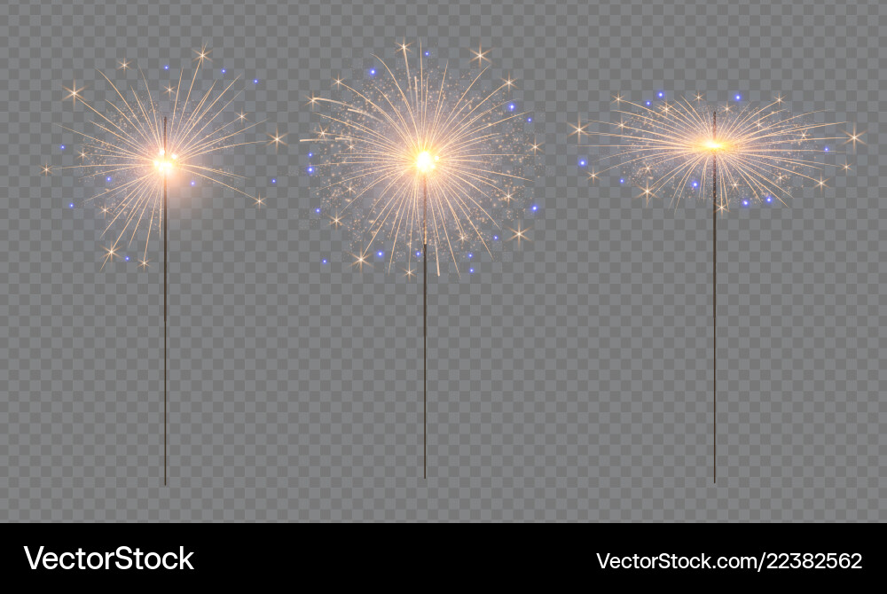 Sparcler and firework christmas decoration lights Vector Image