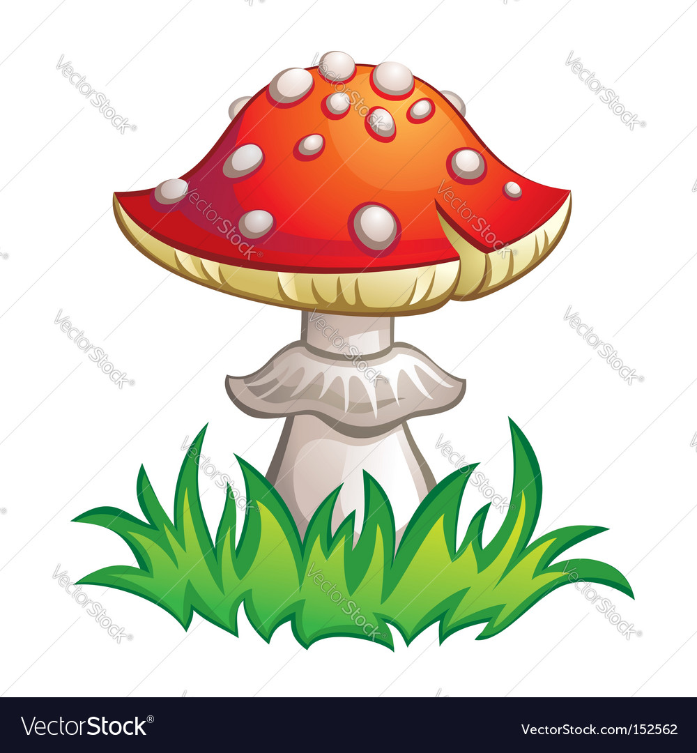 Toadstool Royalty Free Vector Image - VectorStock