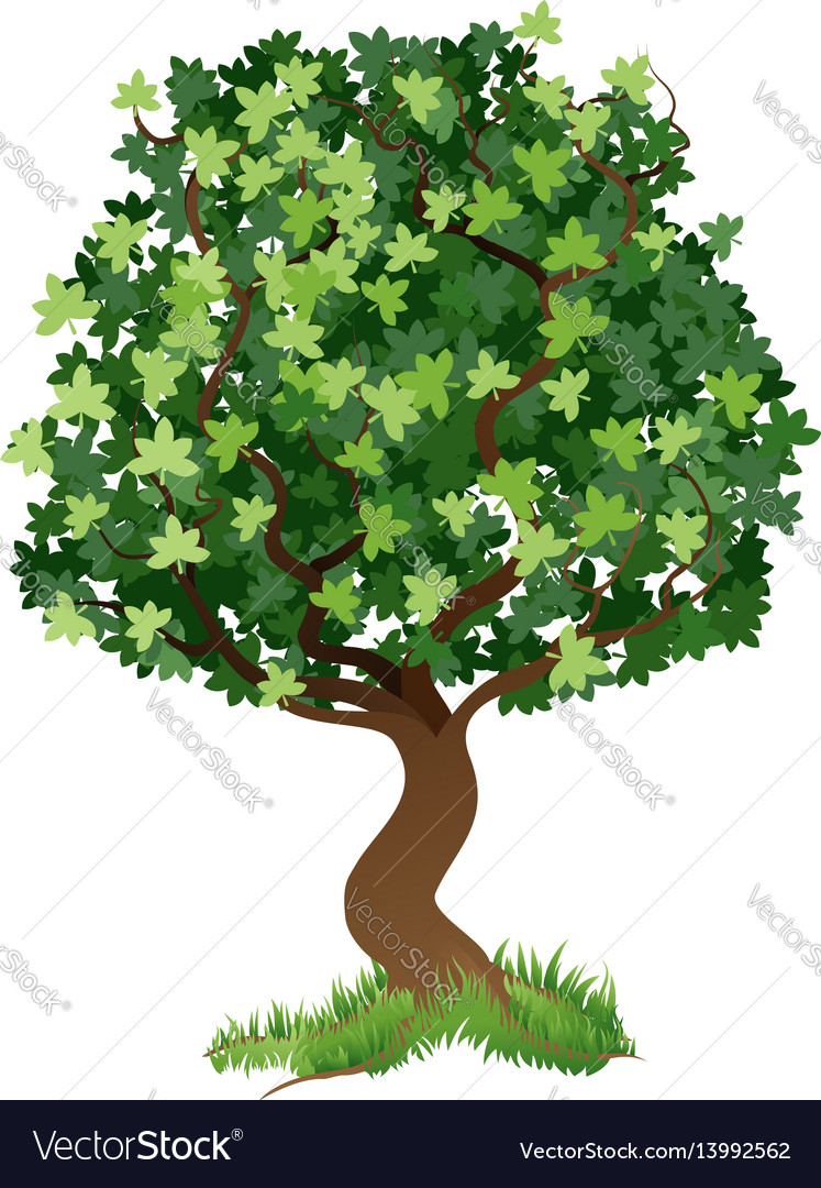 Tree Royalty Free Vector Image - VectorStock