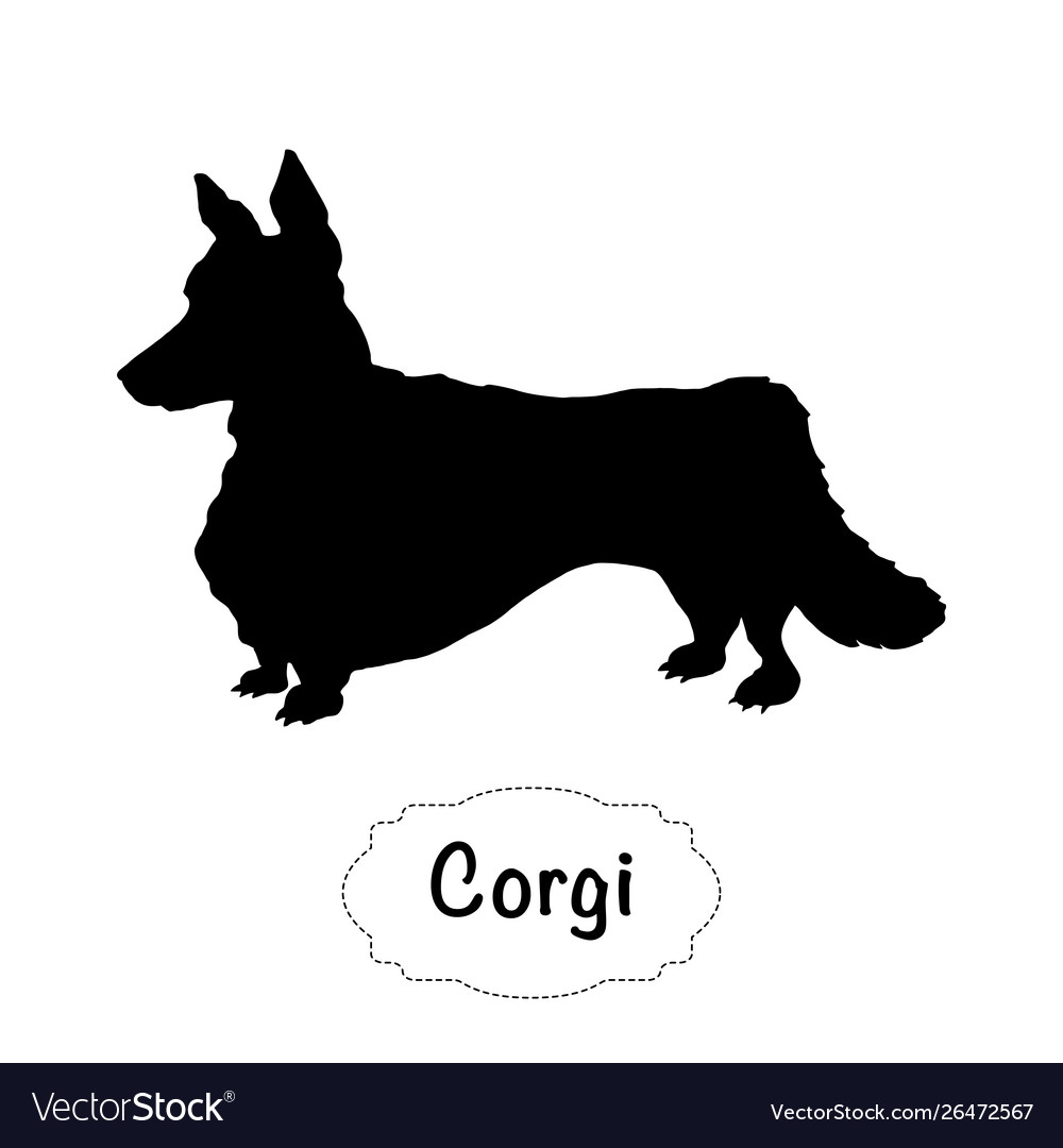 Corgi Royalty Free Vector Image - VectorStock