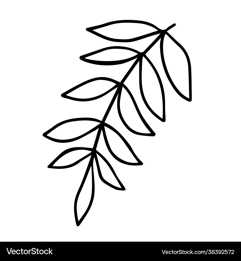 Branch with leaves hand drawn black doodle Vector Image