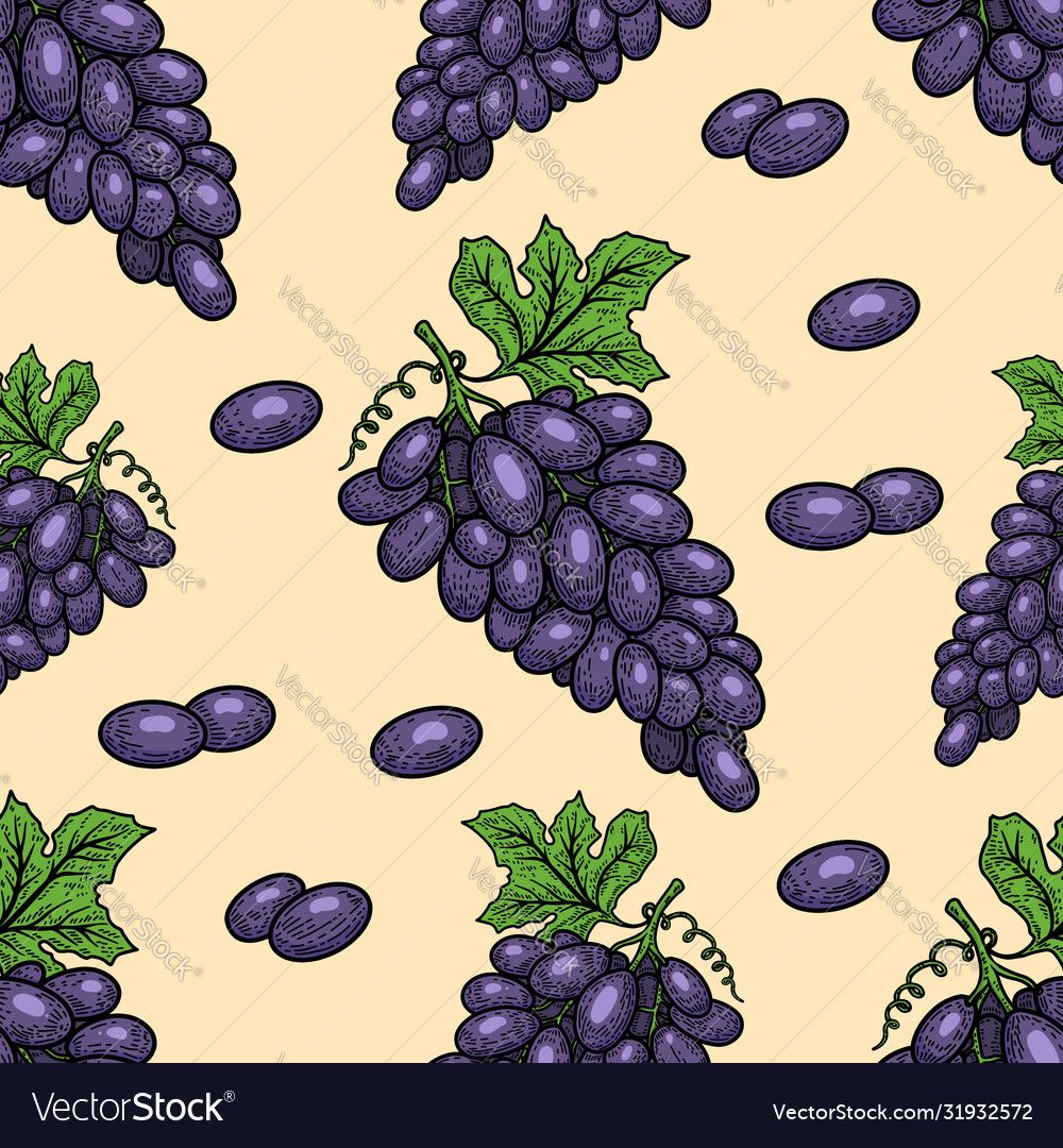 Seamless pattern with grape design element Vector Image
