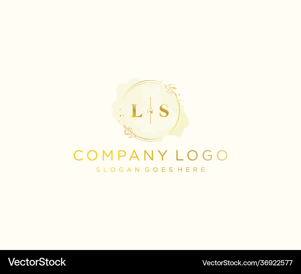 Initial ls letters colorful watercolor splash Vector Image