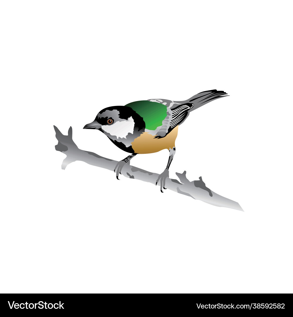 Attractive and colorful cute bird Royalty Free Vector Image
