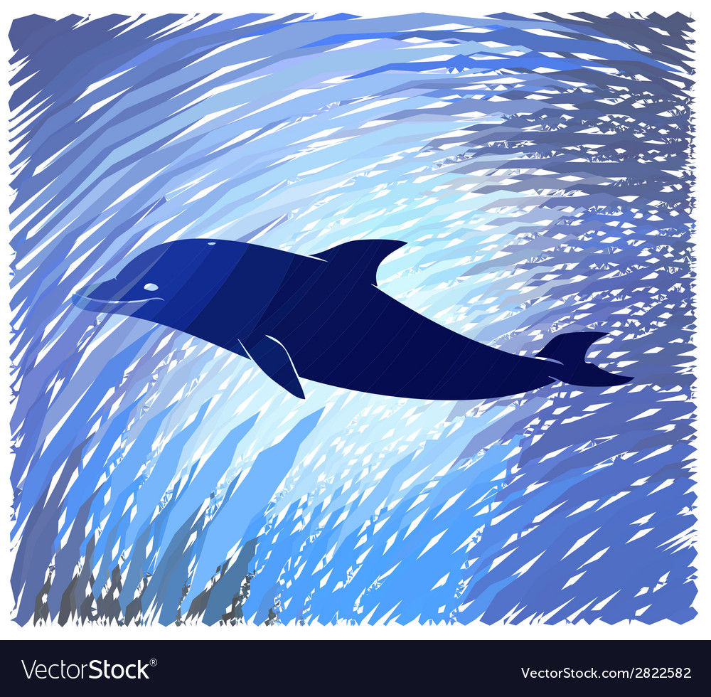 Dolphin Royalty Free Vector Image - VectorStock