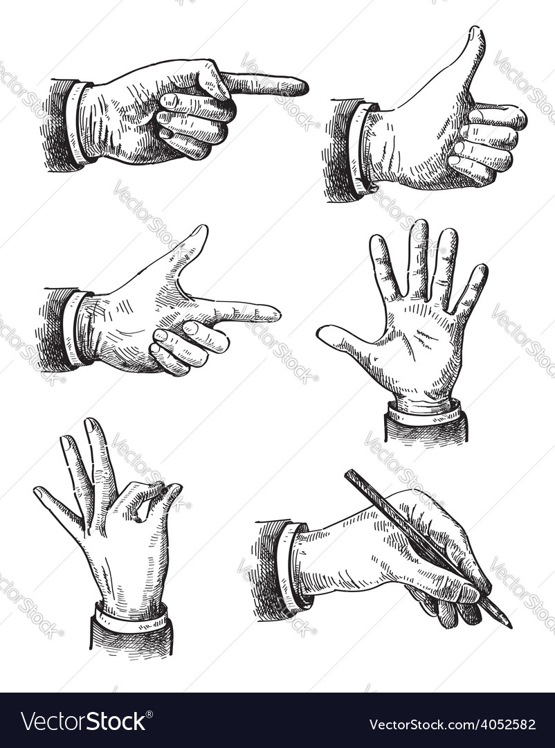 Hand Royalty Free Vector Image - VectorStock