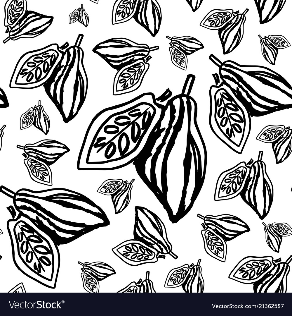 Cocoa beans pattern on white background Royalty Free Vector