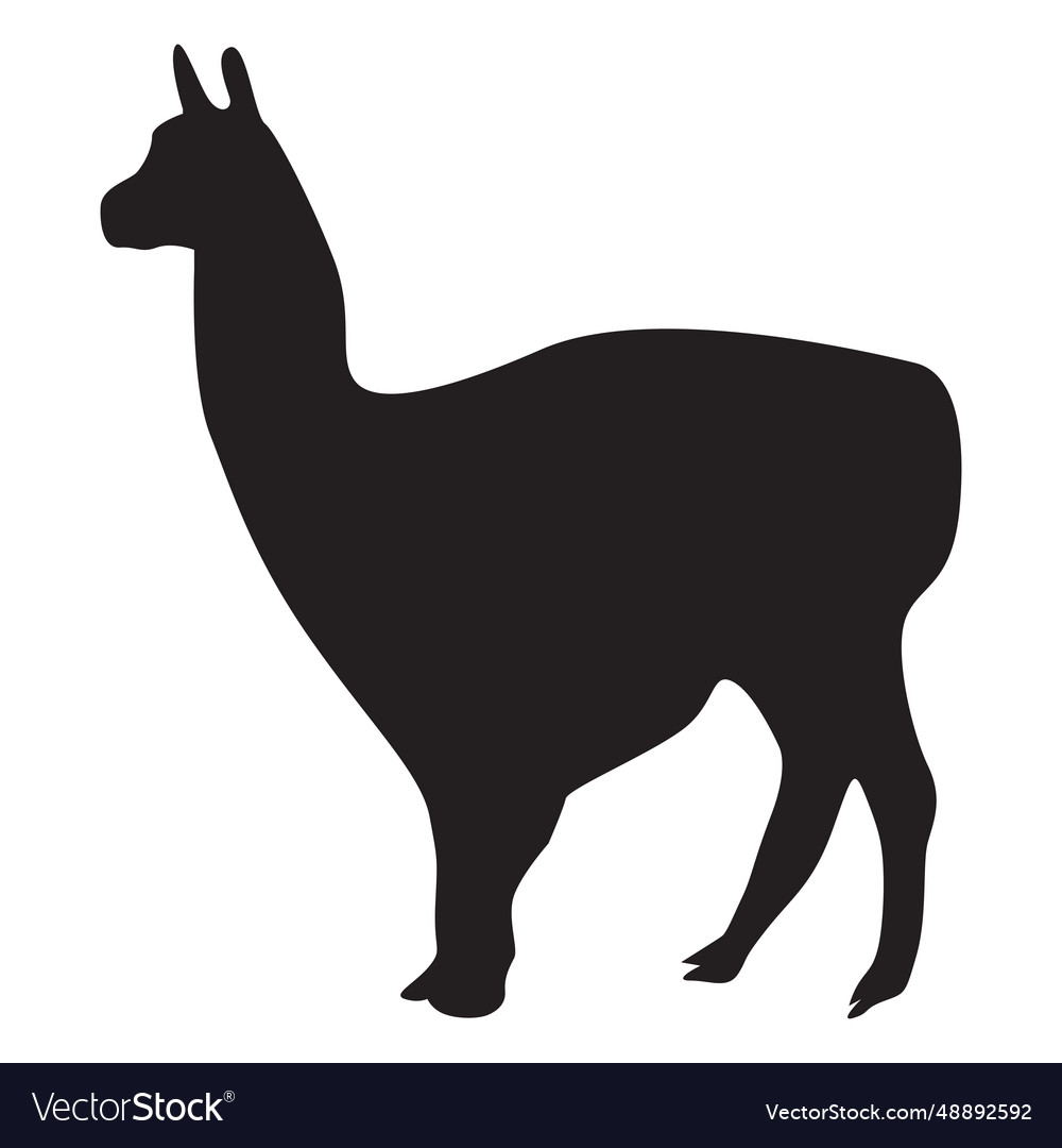 Isolated llama animal Royalty Free Vector Image