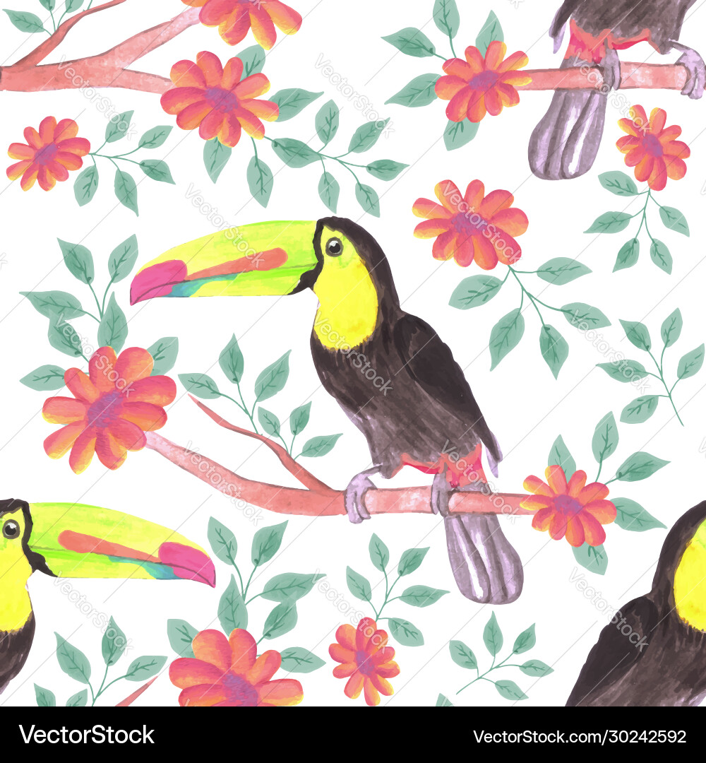 Keel billed toucan bird or ramphastidae Royalty Free Vector