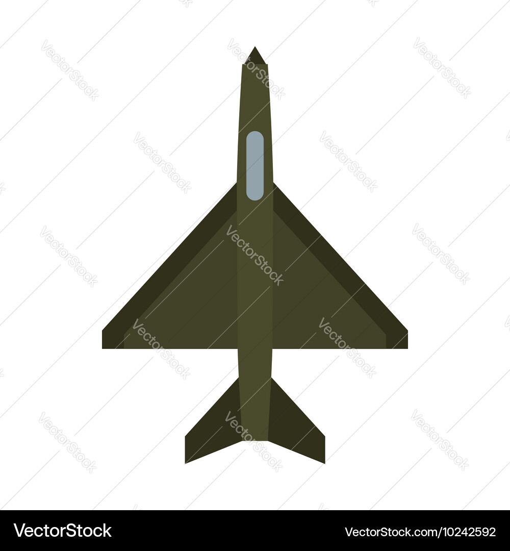 Military aircraft icon flat style Royalty Free Vector Image