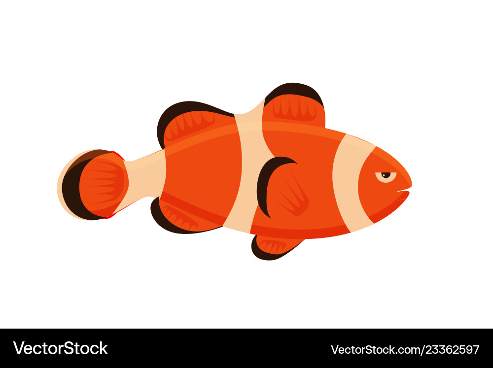 Cute fish icons set tropical Royalty Free Vector Image