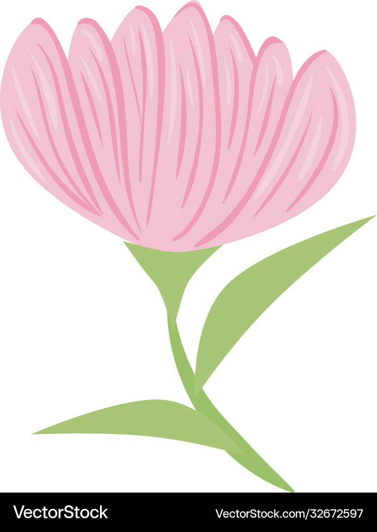 Pink flower with leaves design Royalty Free Vector Image