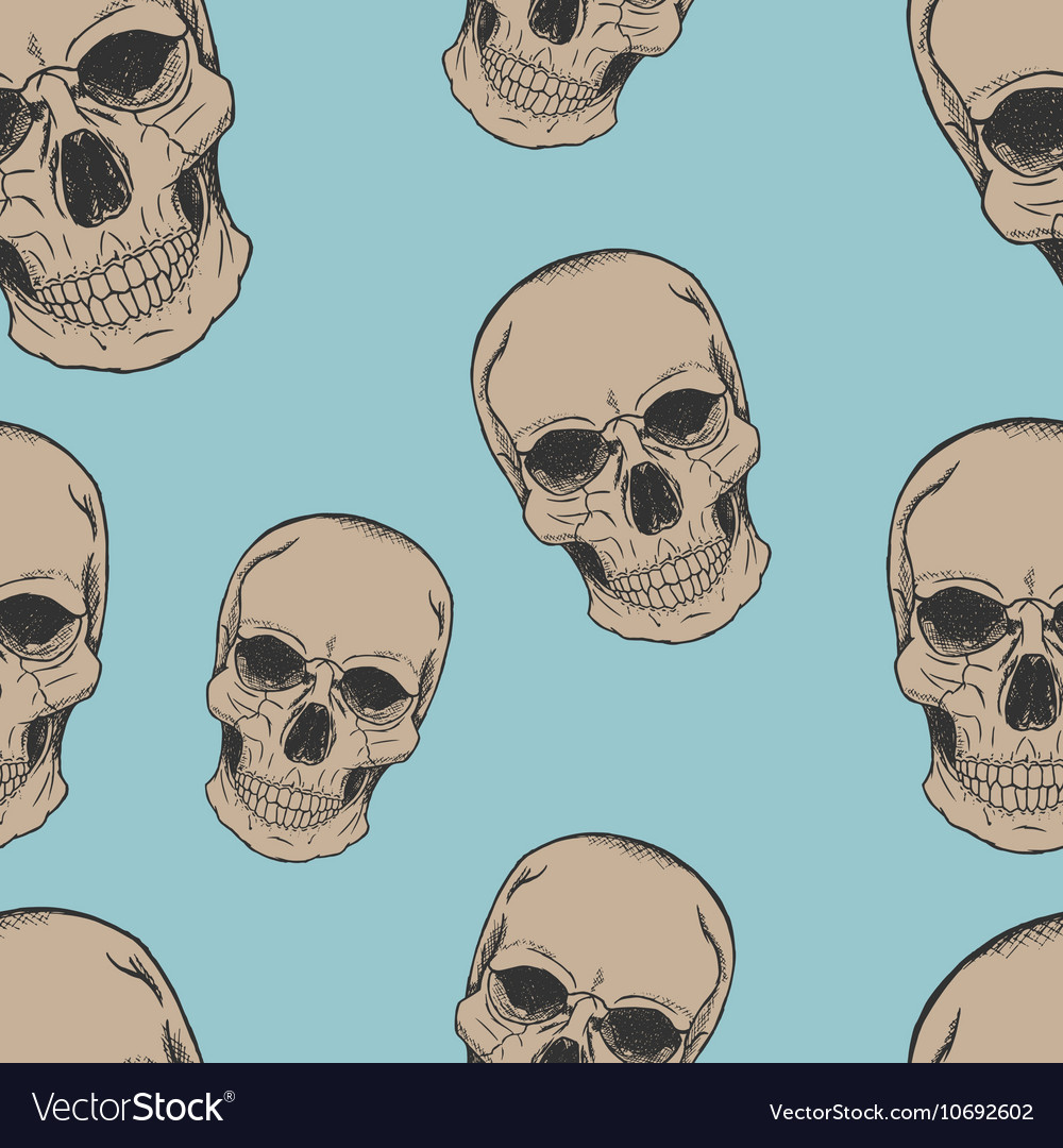 Human scull sketch pattern Royalty Free Vector Image