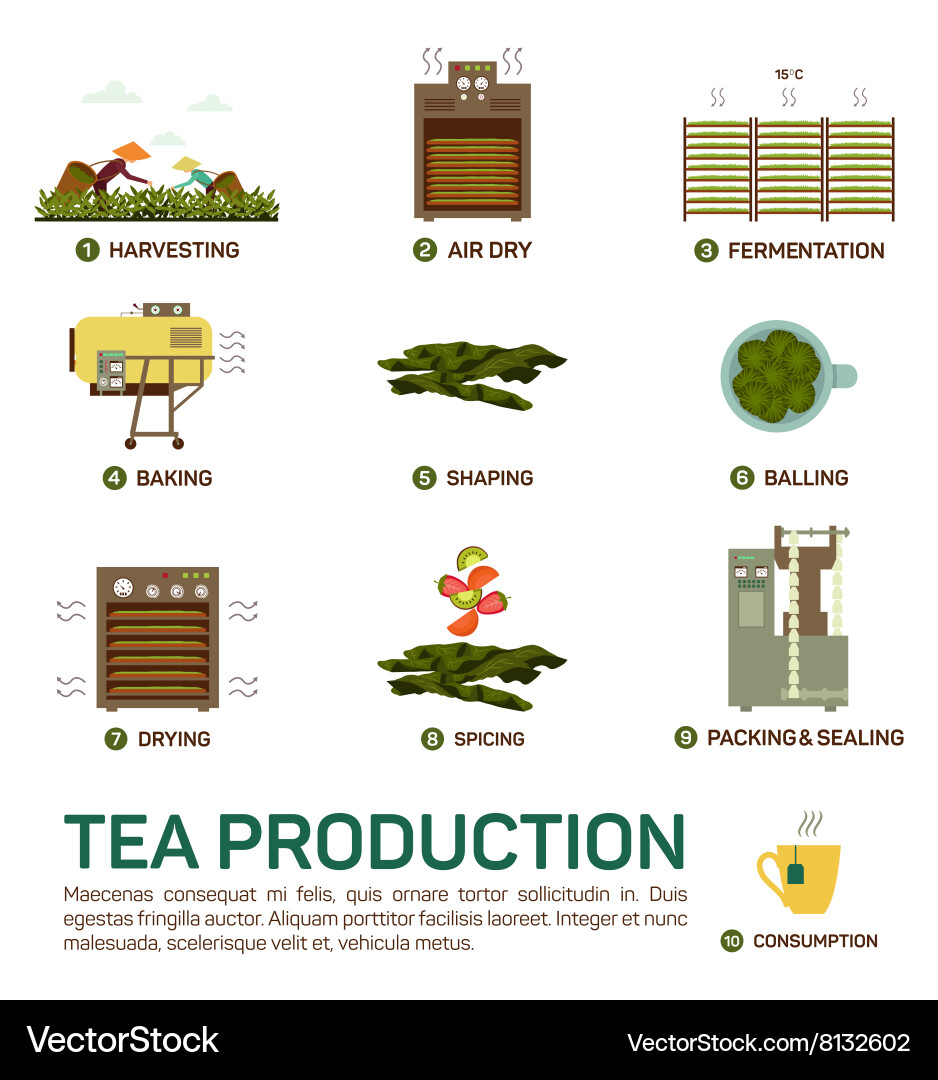 Seamless of tea production Royalty Free Vector Image