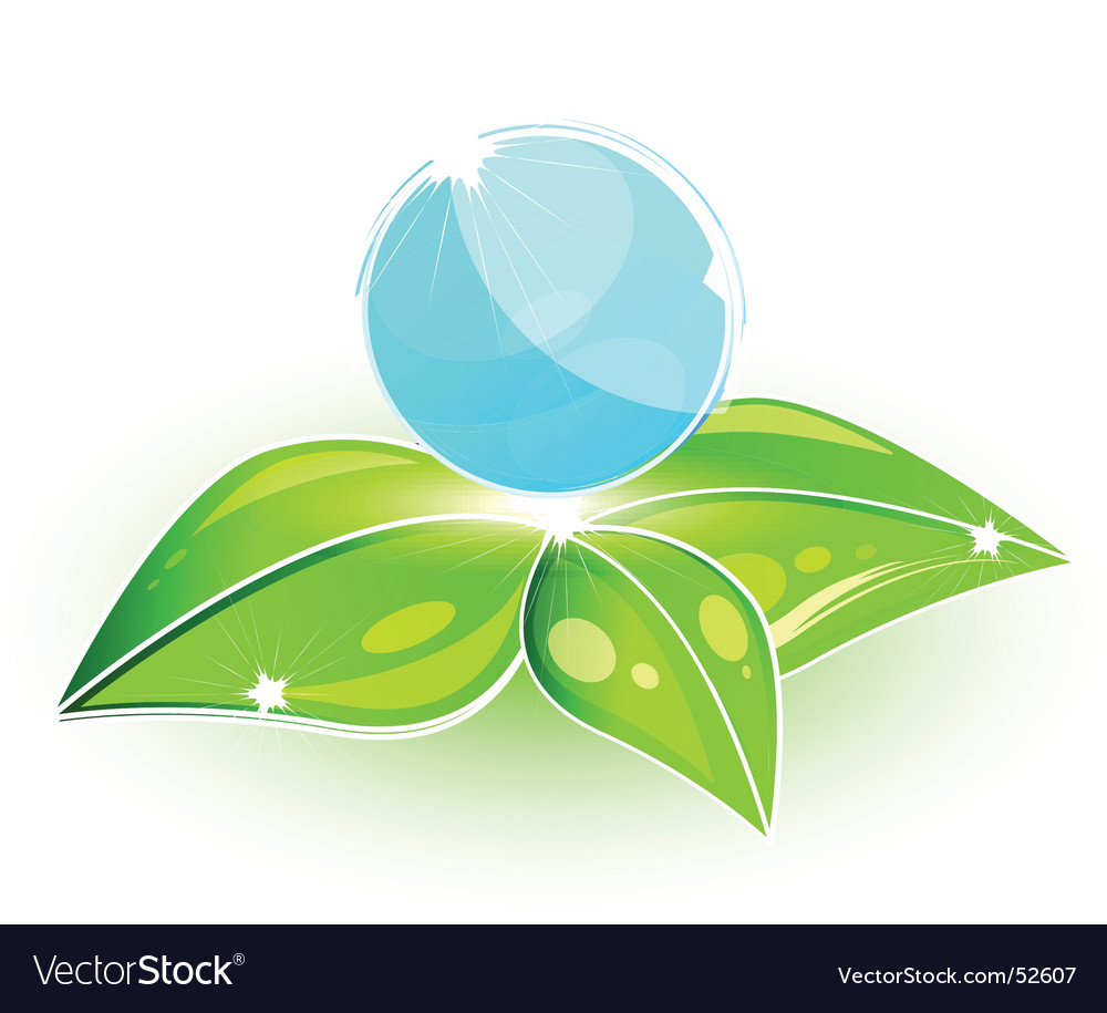 Leaf Royalty Free Vector Image - VectorStock