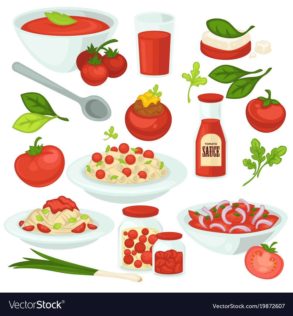 Tomato food meals salads and dishes with tomatoes Vector Image