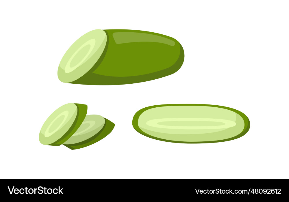 Sliced cucumber concept Royalty Free Vector Image