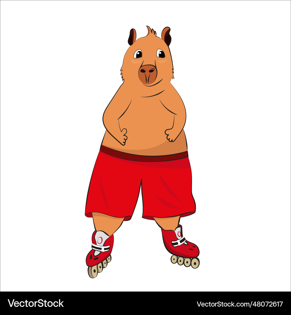 Cute cartoon capybara on rollers in red shorts Vector Image